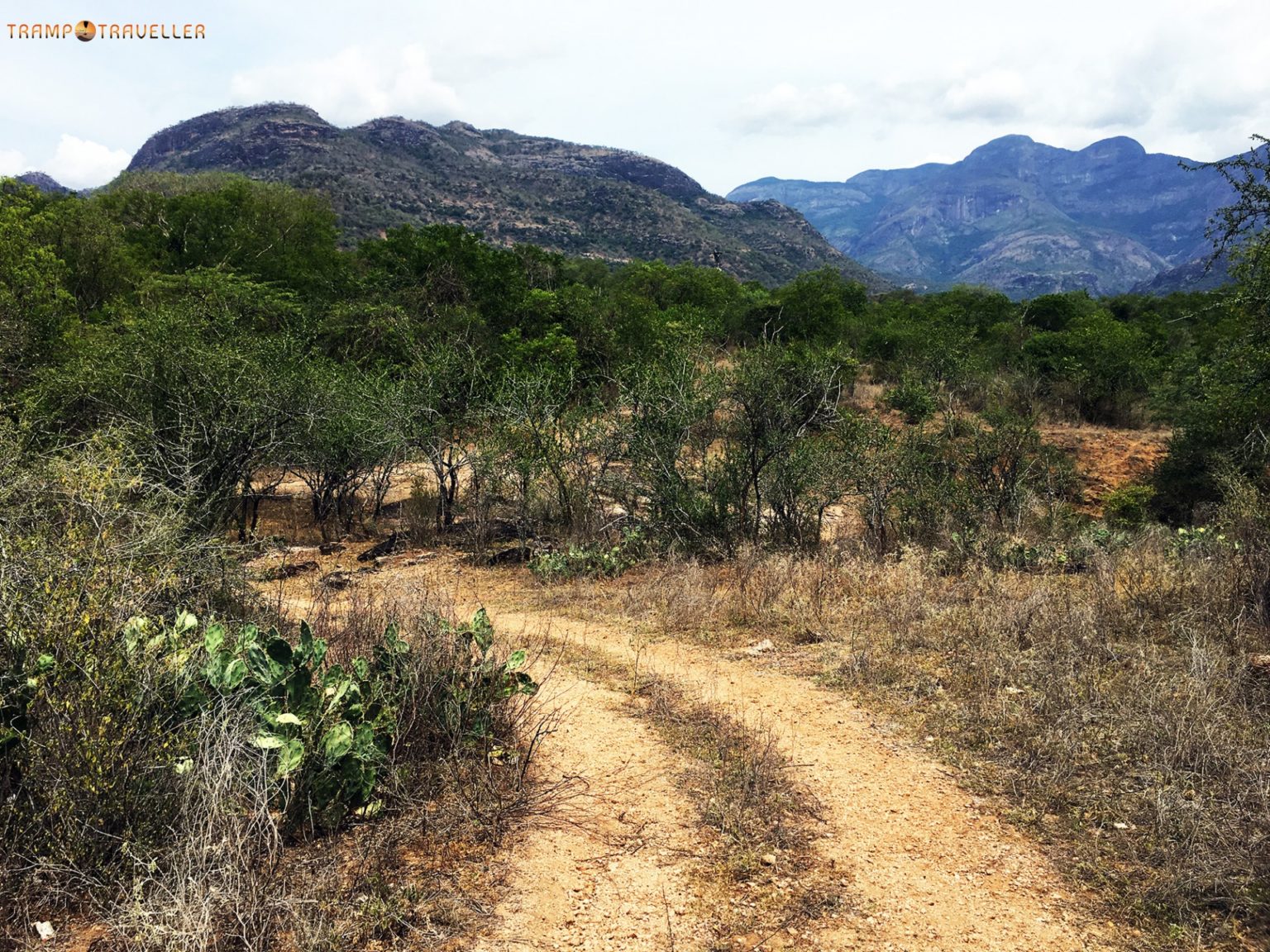 Chinnar Wildlife Sanctuary View TrampTraveller