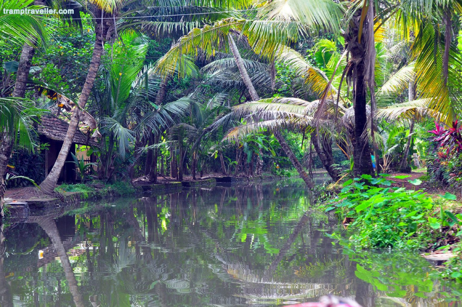 Kainakary View TrampTraveller