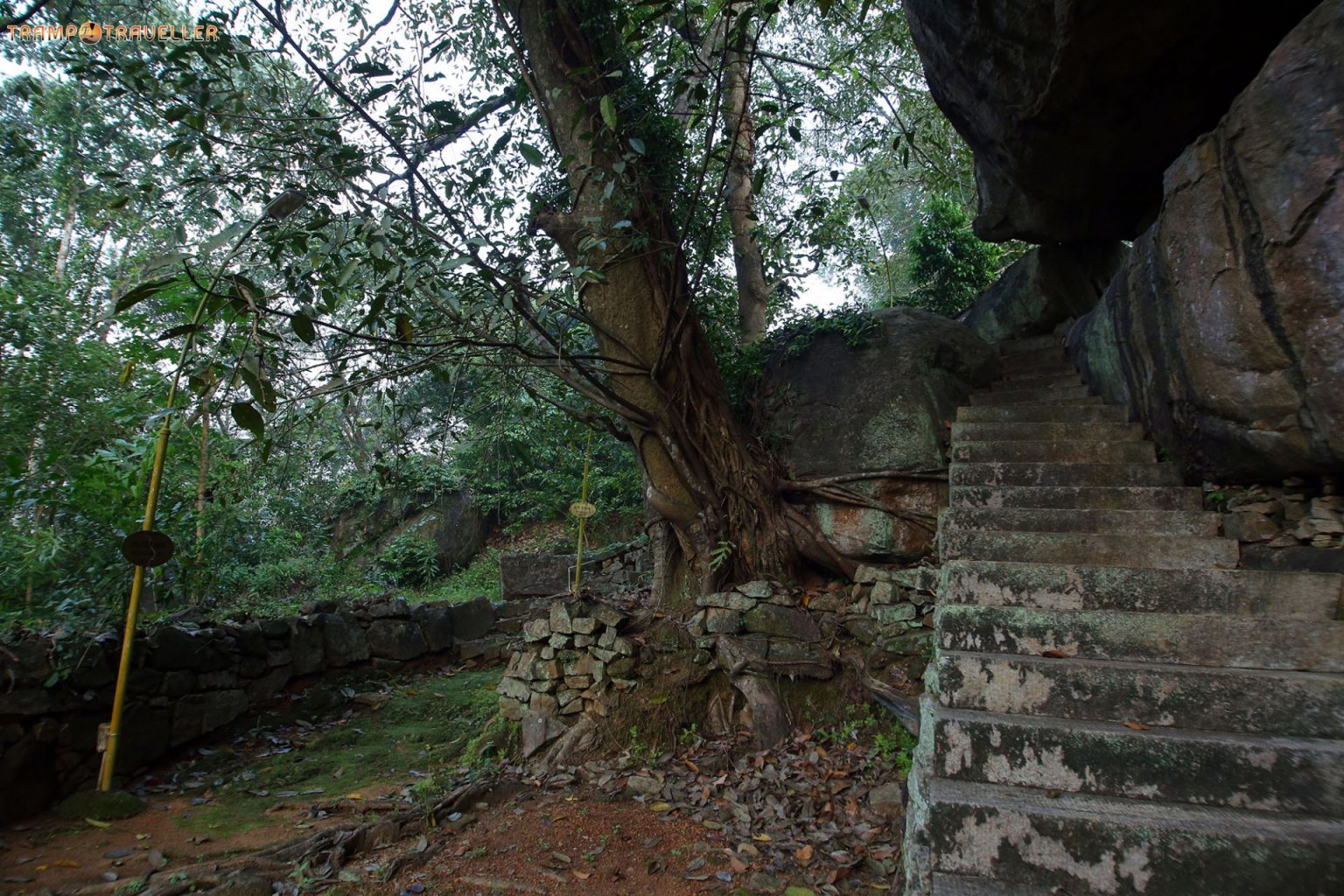 Kallil Devi Temple Perumbavoor TrampTraveller