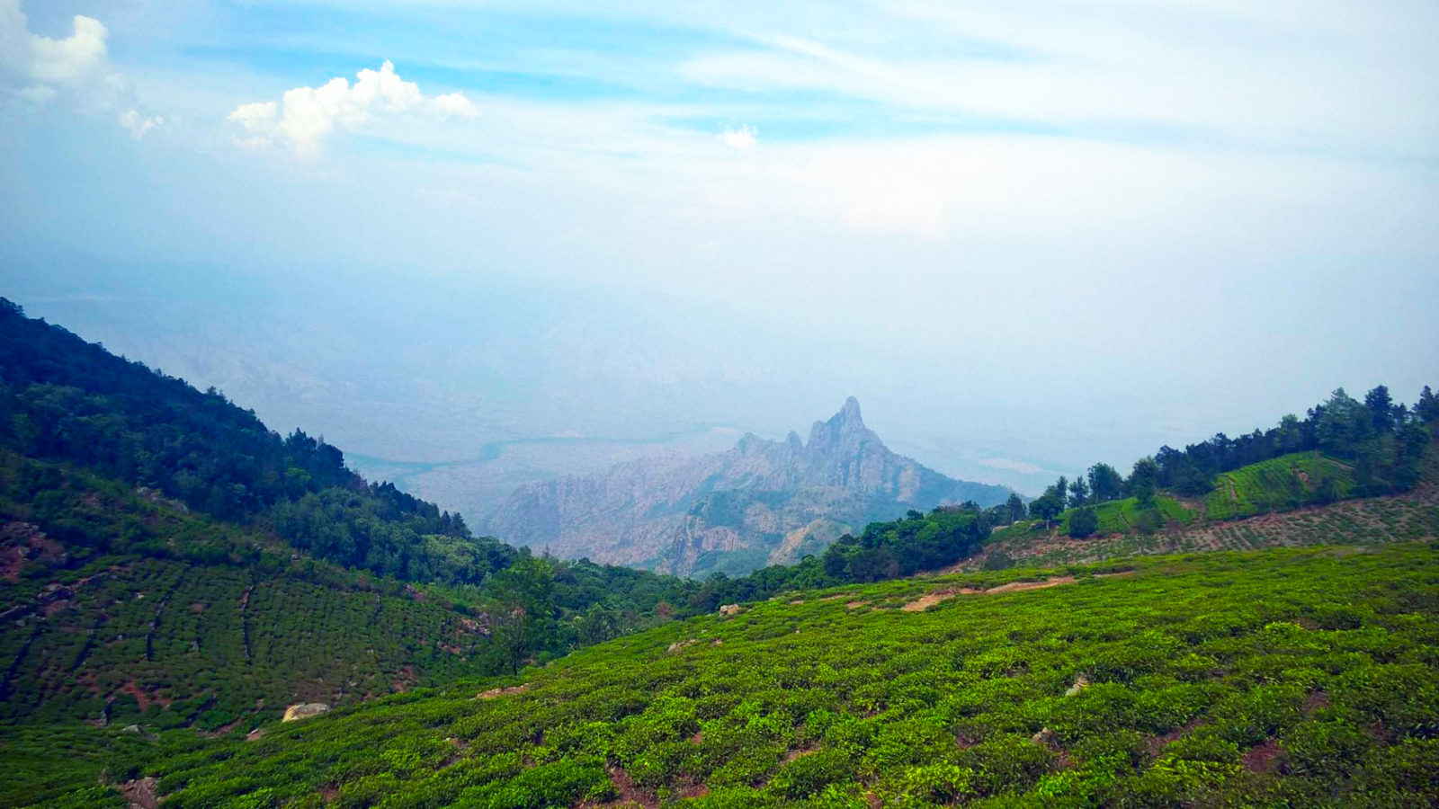 Kotagiri Kodanad View Point TrampTraveller
