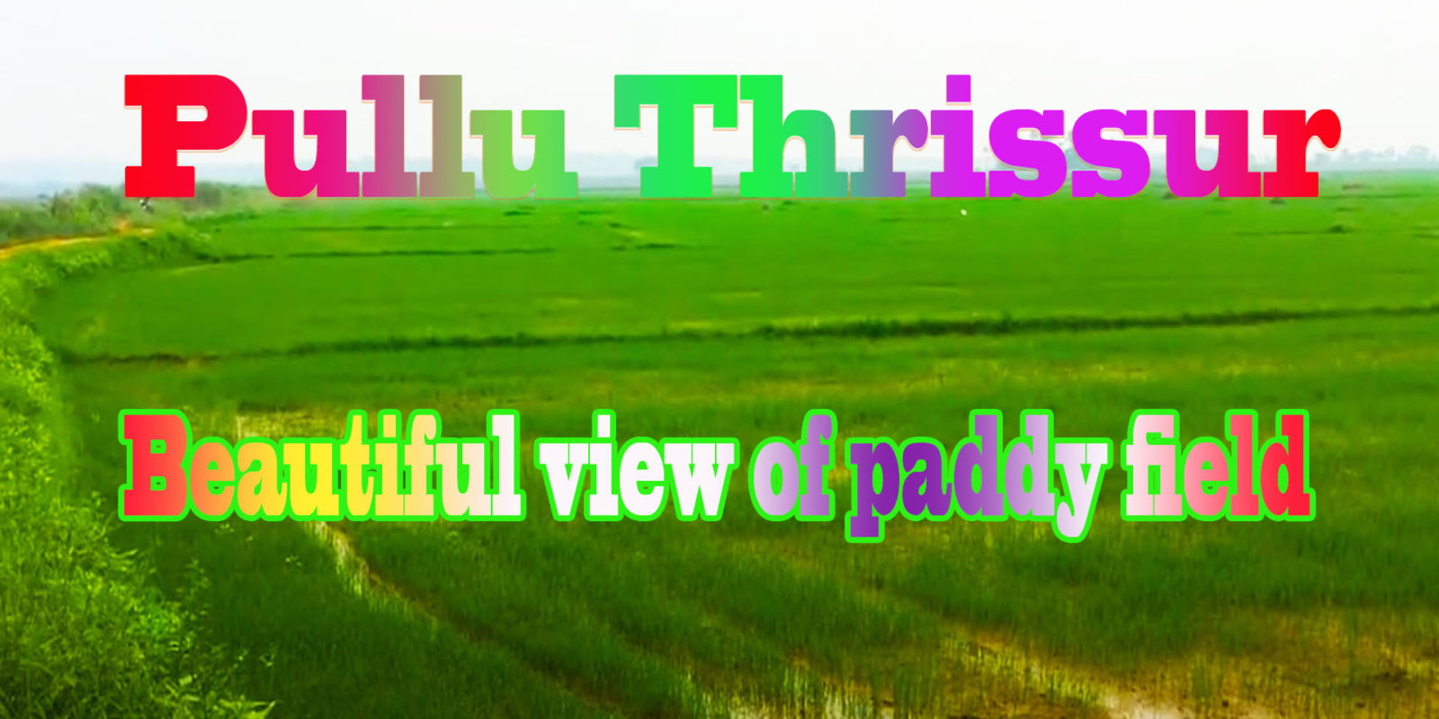 Pullu Village View TrampTraveller