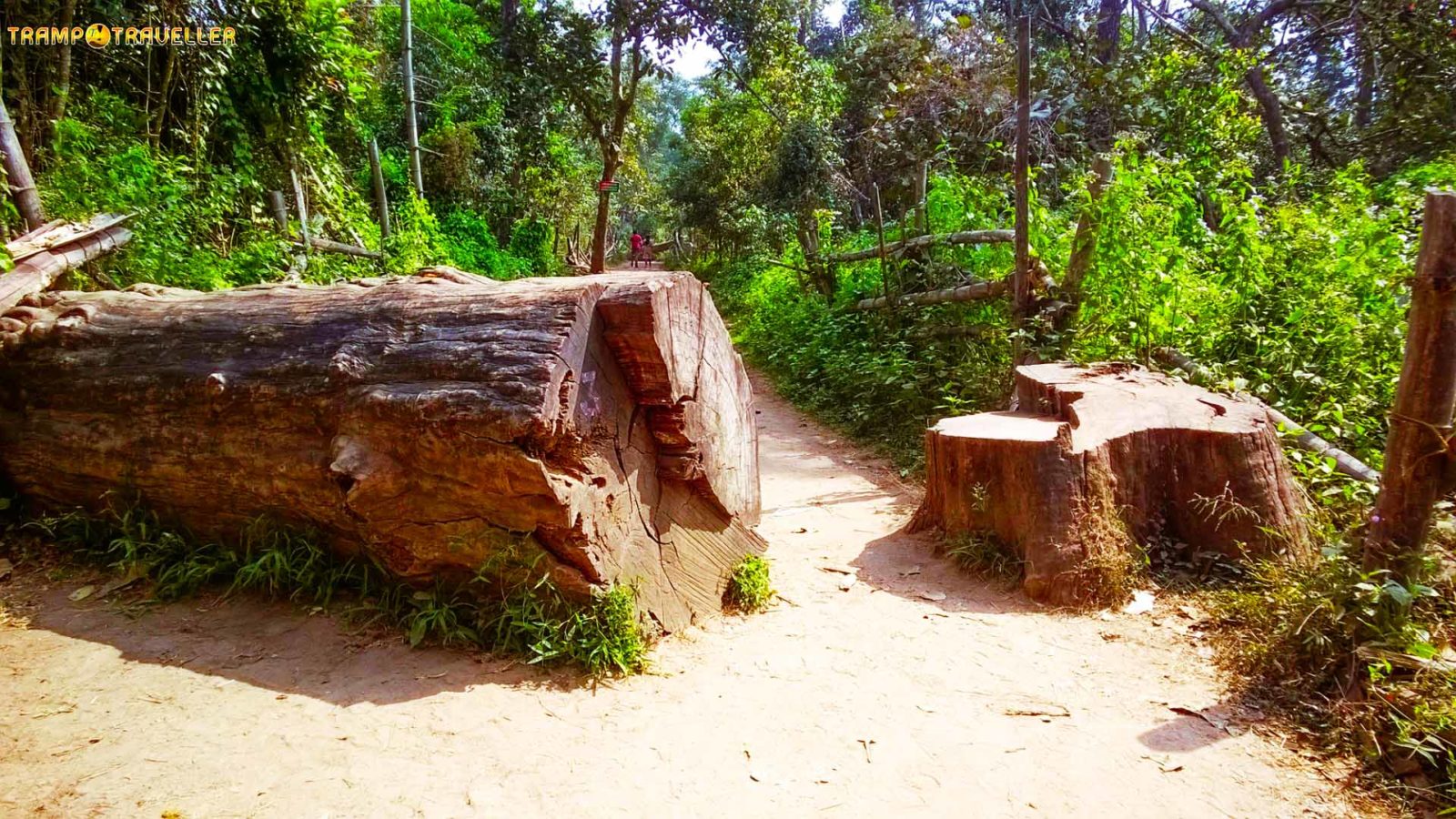 kuruvadweep wayanad view | TrampTraveller