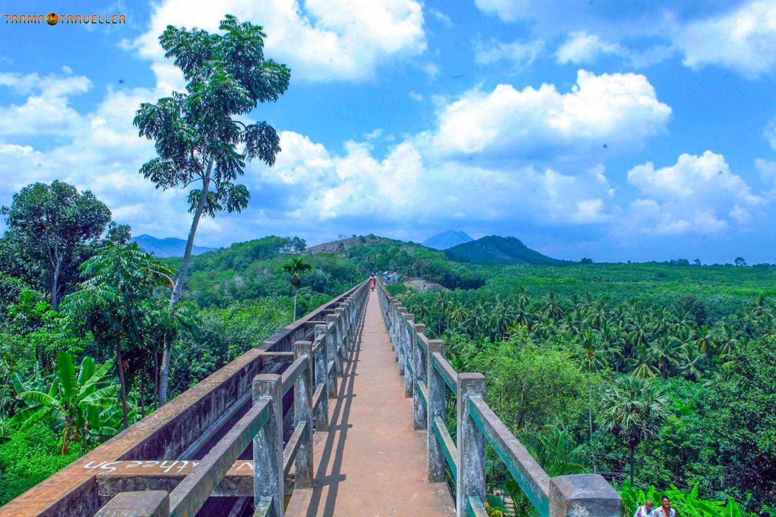 Mathoor Hanging Bridge TrampTraveller