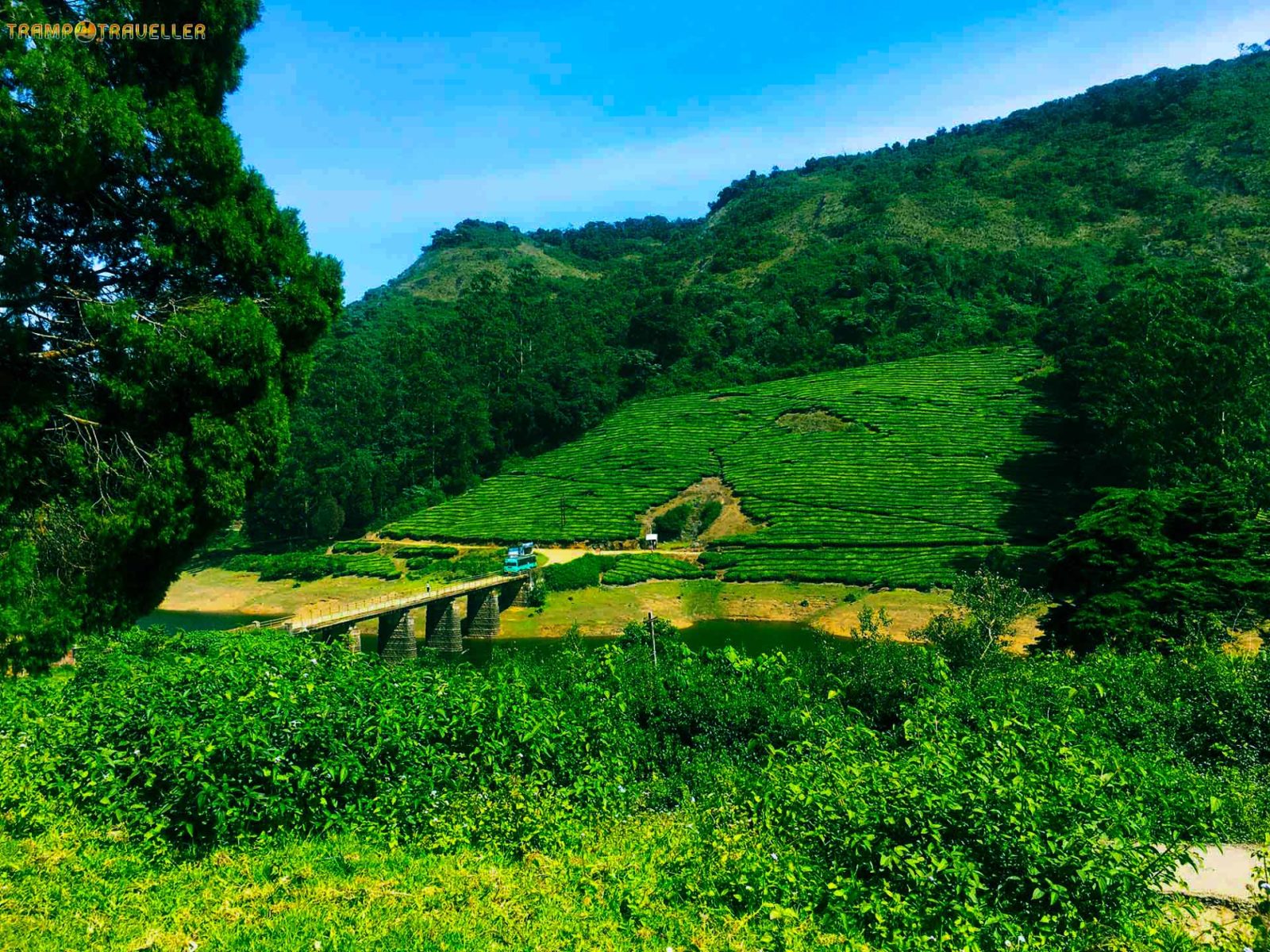 Meghamalai View – Theni – Tamil Nadu – India. TrampTraveller