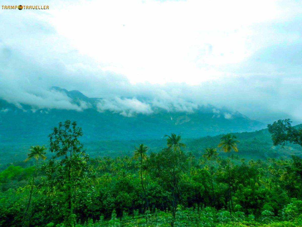 Nadukani Pavilion View – Idukki – Kerala – India. TrampTraveller