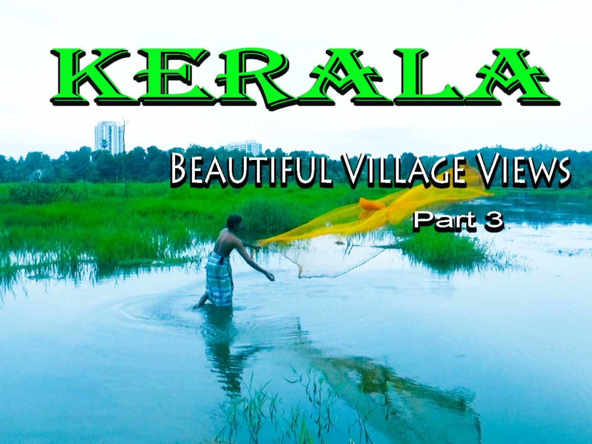 Village View Poosaripatti TrampTraveller