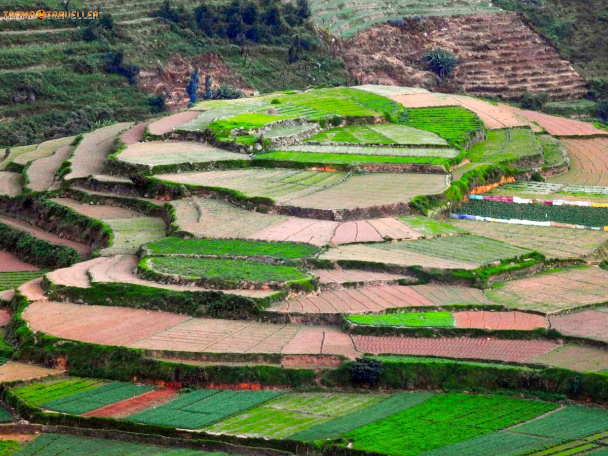 Poombarai Village View – Kodaikanal TrampTraveller